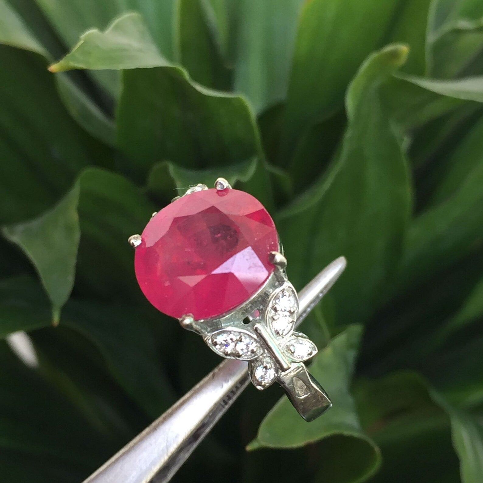 Natural Ruby, premium quality 10 carat female silver ring – Astrogems ...